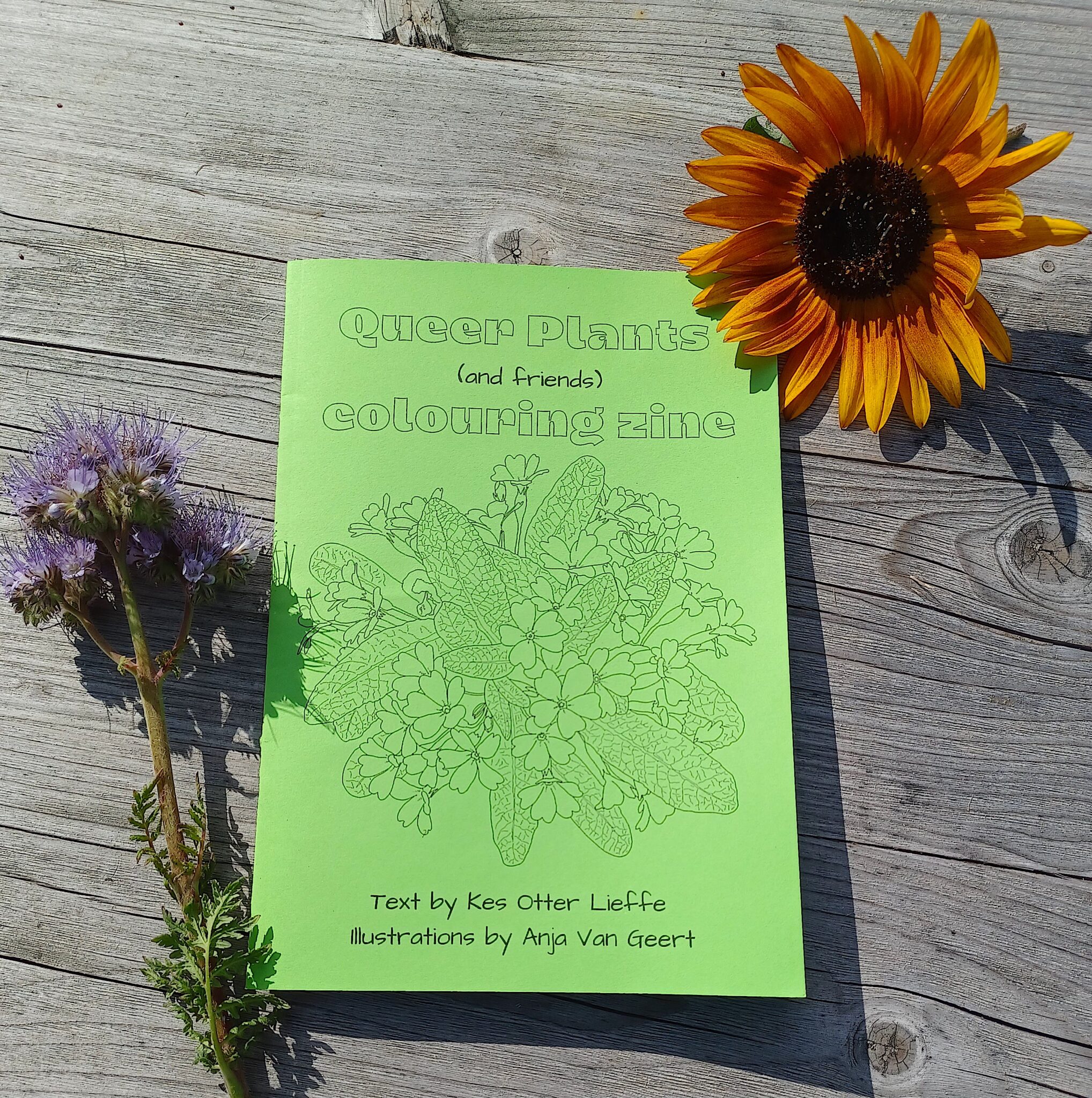 Queer Plants Colouring Zine. Supporting Solidarity Apothecary