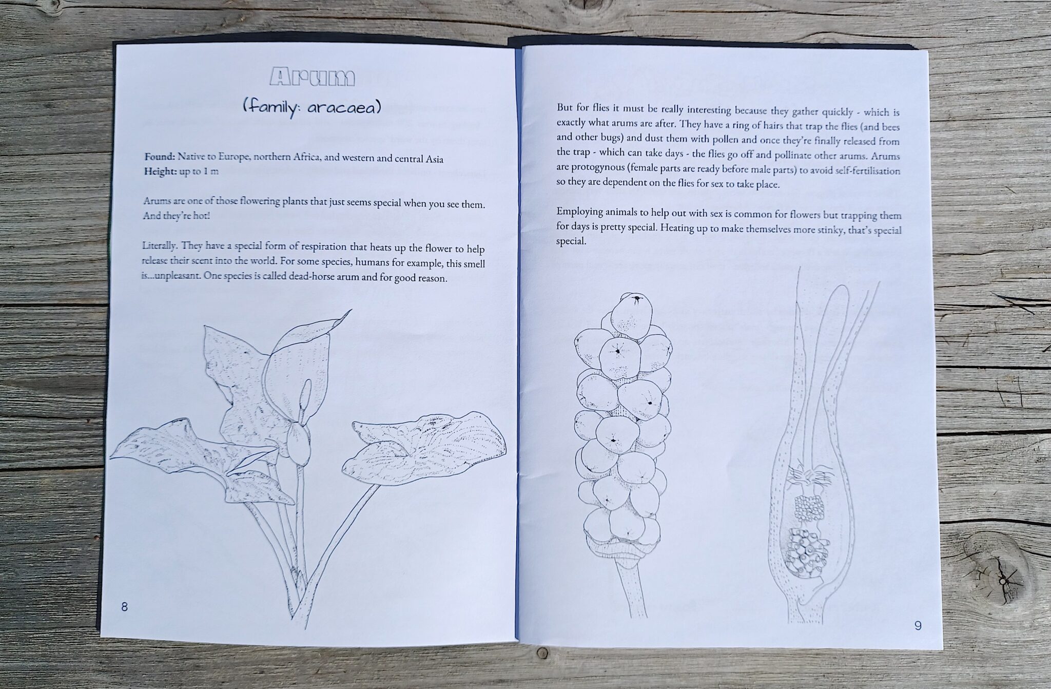 Queer Plants Colouring Zine. Supporting Solidarity Apothecary